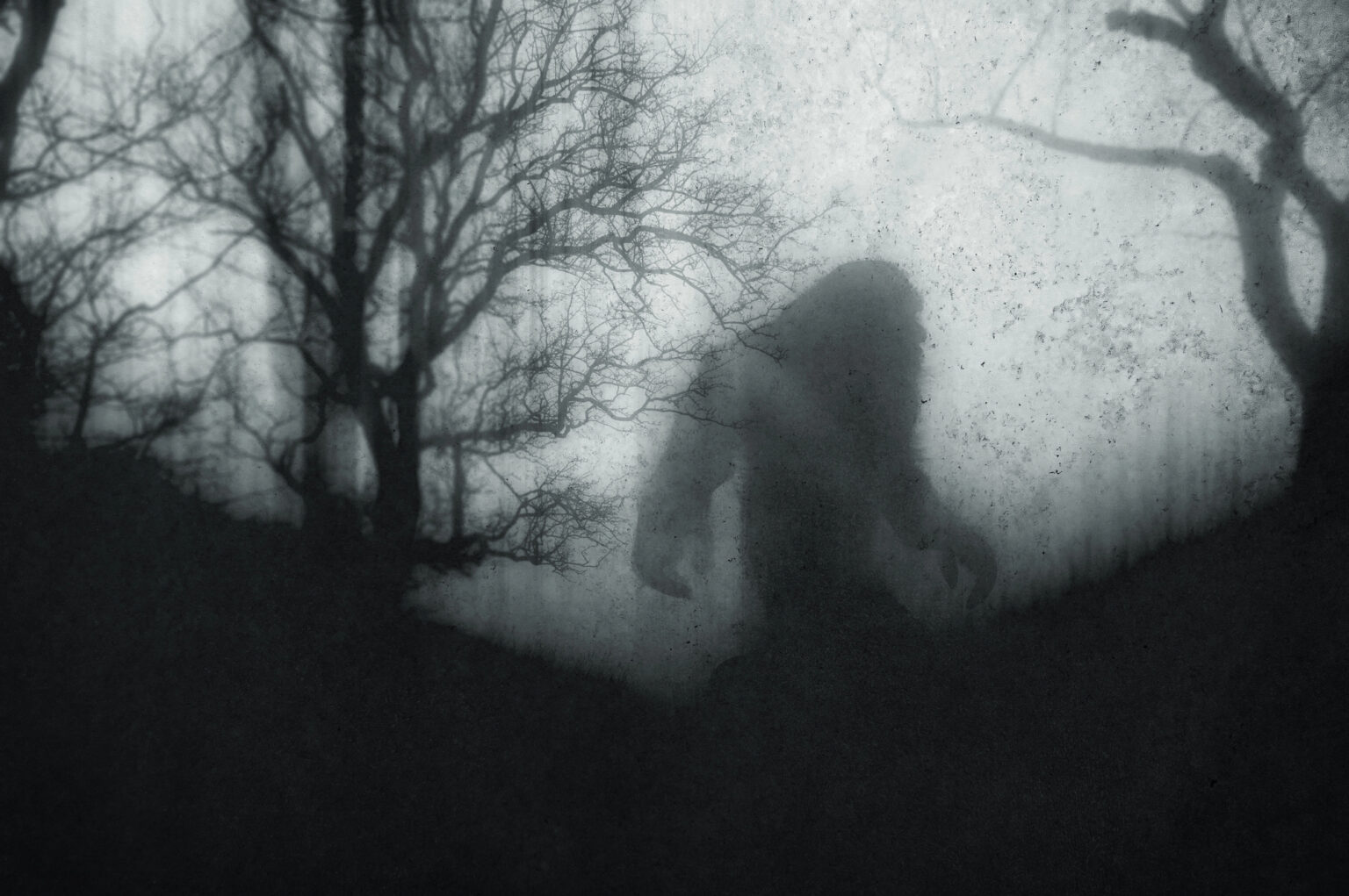 California Urban Legends Of The Most Terrifying Monsters