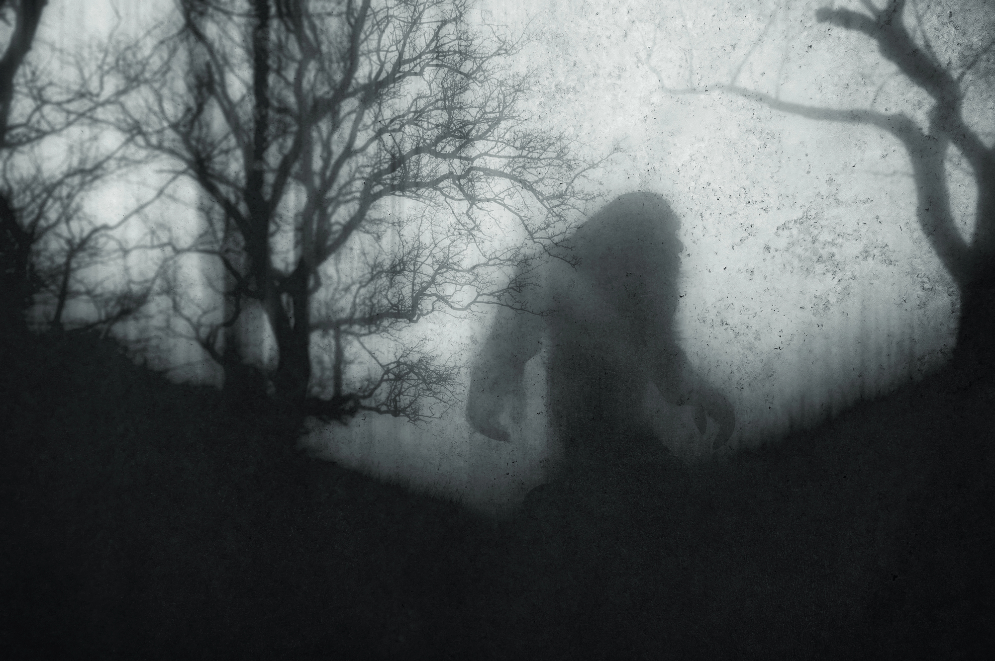 California Urban Legends Of The Most Terrifying Monsters