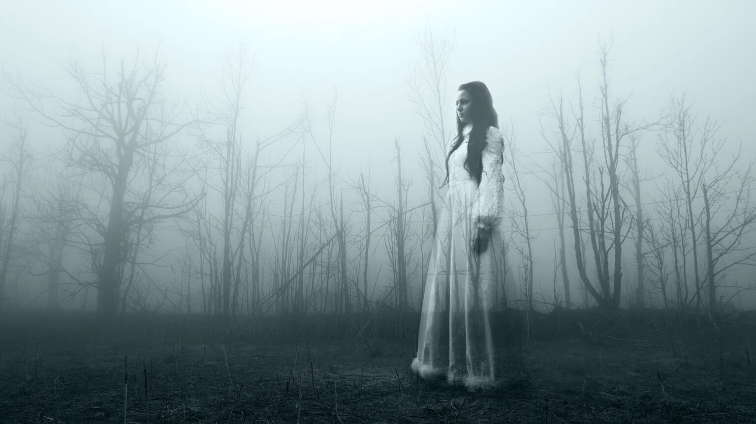 California Urban Legends of Haunted Roads and Highways